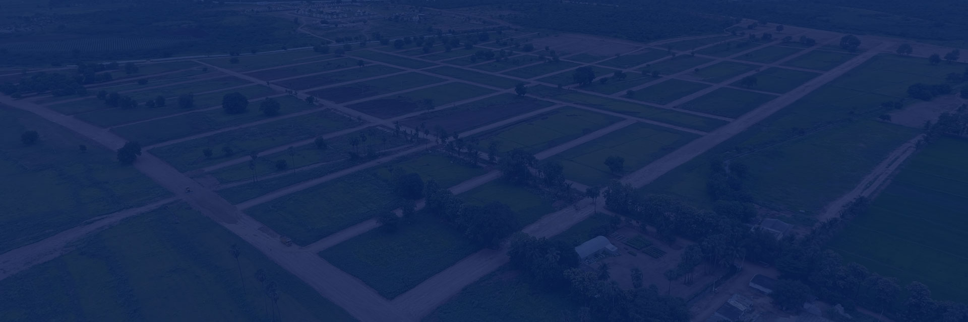All Postings | LandTank